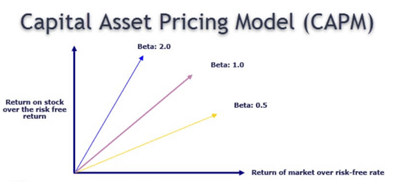 capital-asset-pricing-model - The Investor's Podcast Network