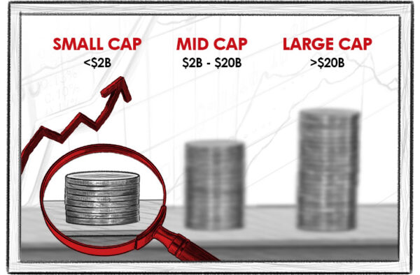 Complete Guide to Small Cap Investing